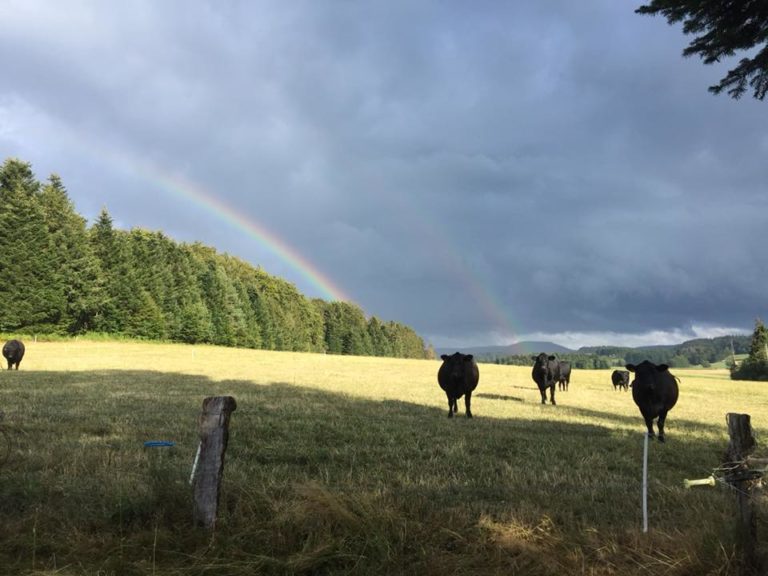 Viande bio en ligne, découvrez nos produits de la ferme - Ferme Albrecht